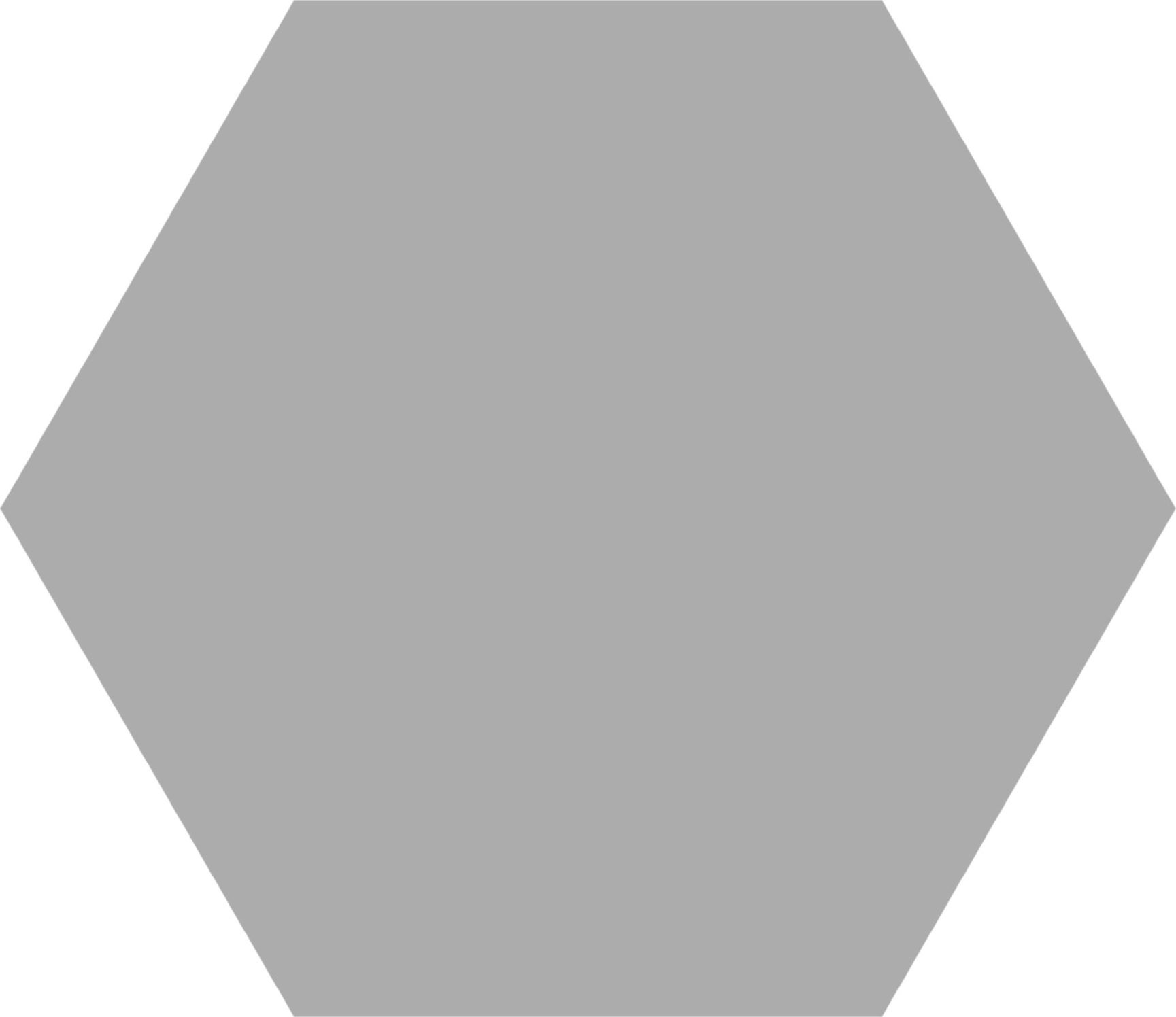 Basic Hex | Silver | Matte - Tile Depot NY